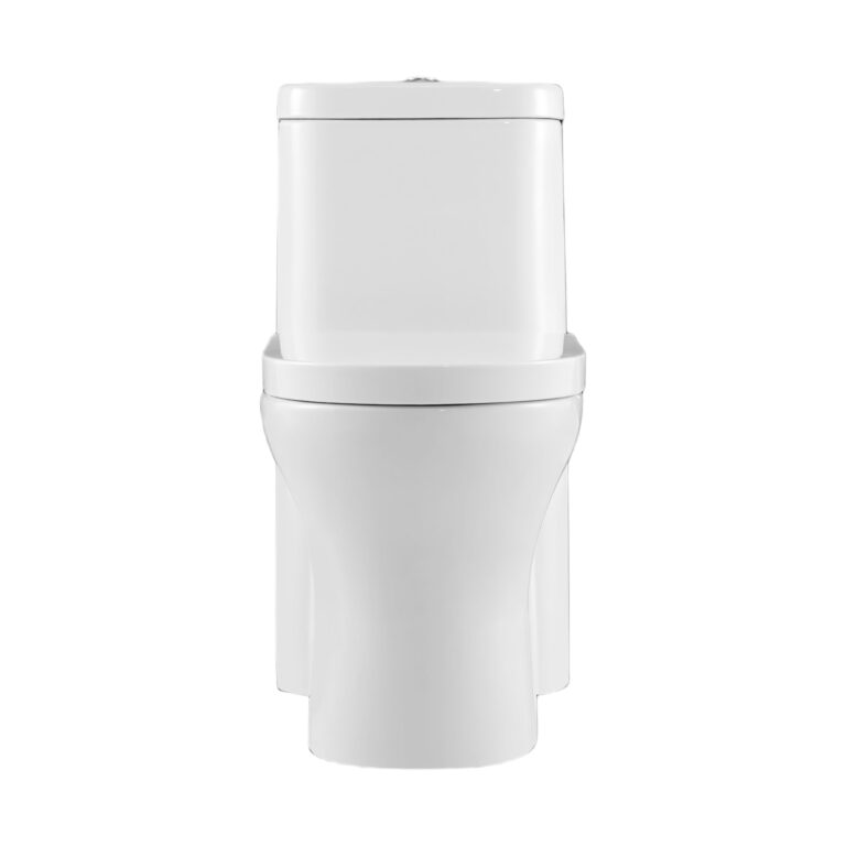 NEPTUNE Florence 4.1/6L Dual Flush Elongated One-Piece Toilet in White ...