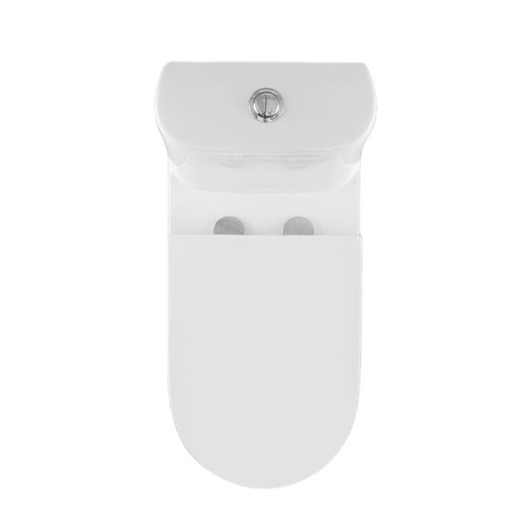 NEPTUNE Florence 4.1/6L Dual Flush Elongated One-Piece Toilet in White ...