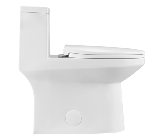 AKTUELL LOTUS for 10 inches installation, One-piece dual flush Toilet ...