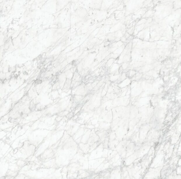48 x 48 Majesto Bianco Gioia Honed Rectified Colorsync Porcelain Tile ...